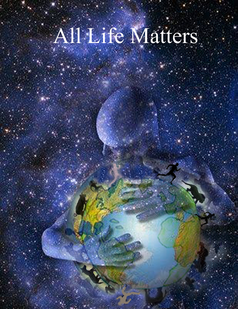All Life Matters | IT