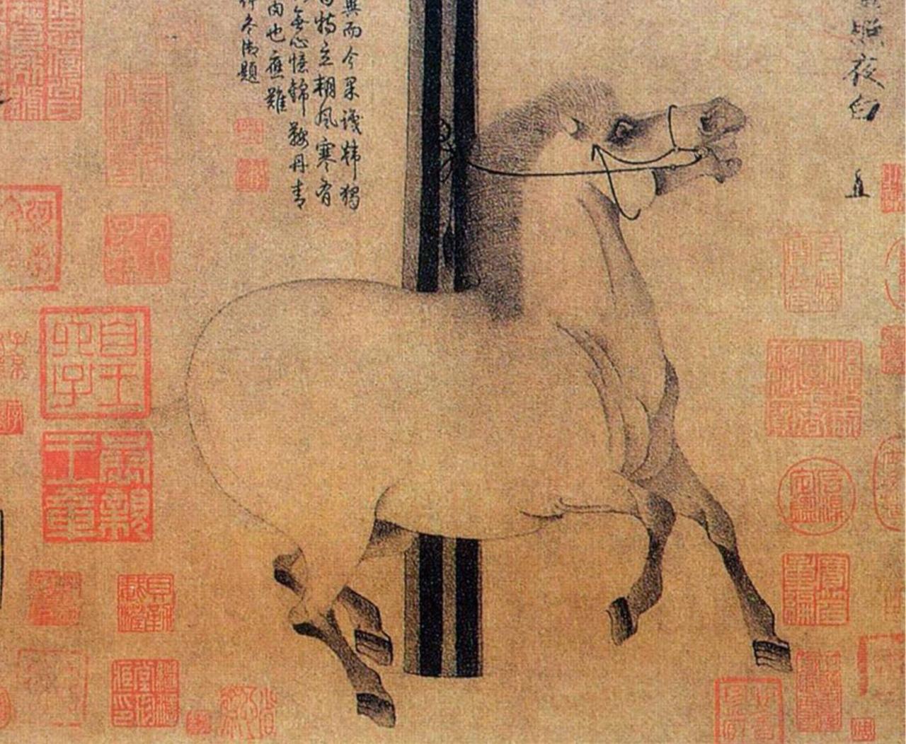 A white horse runs towards me by Ma Yongbo ⻢永波 | IT