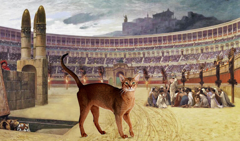 Marcus Aurelius Minds the Cat/The Cat Minds Marcus | IT
